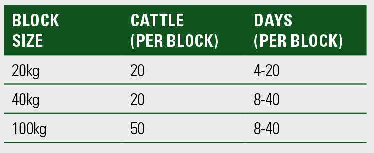 Rumevite 30% Urea + P Block | Rumevite