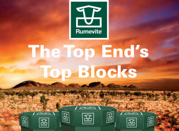 Rumevite | Feeds, supplements and concentrates